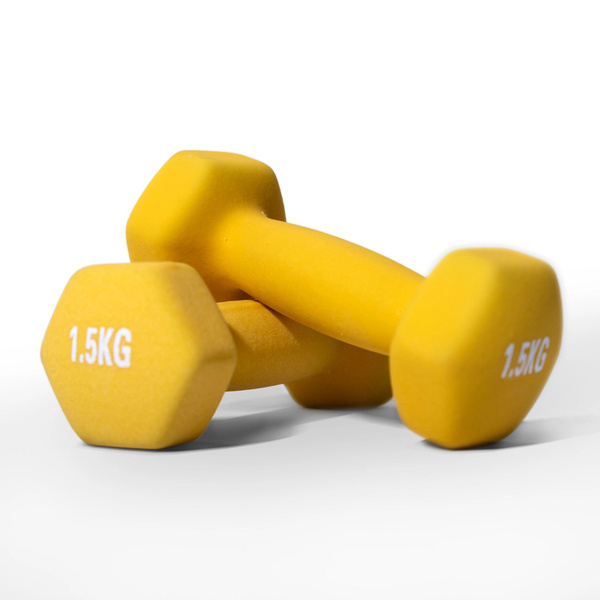 Гантели PROTRAIN DB306, 2 шт. по 1.5 кг купить c доставкой на OZON по ...