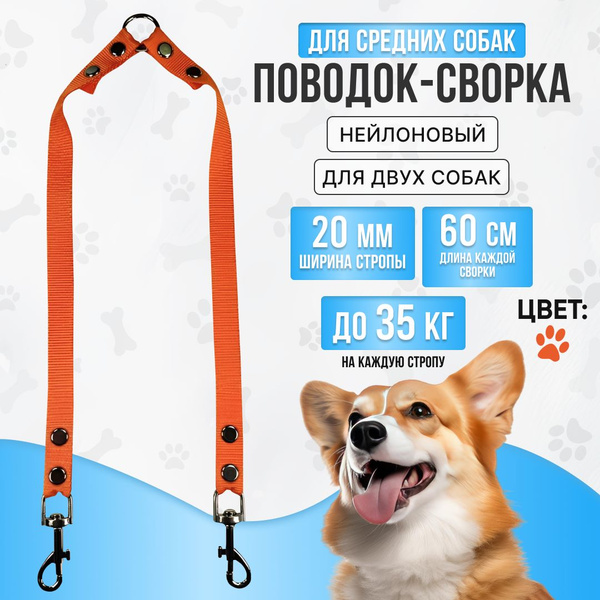 Сворка для двух собак нейлоновая 60 см х 2 х 20 мм оранжевая - купить с ...
