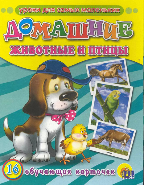 Домашние животные и птицы /16 обучающих карточек - купить с доставкой ...