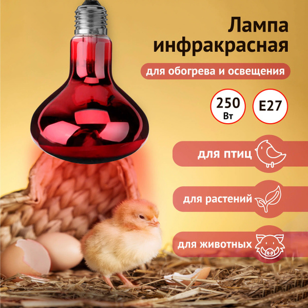 Излучатель тепловой икзк 230-250 R127 E27 (лампа инфракрасная) купить ...