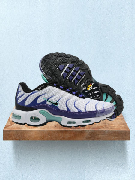 Кроссовки Nike Air Max Plus купить на OZON по низкой цене (1659644733)