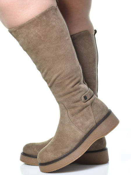 Сапоги Женский Ascalini, размер 41 бежевый Зима 7 Стандартный низкий (до 4 см) Россия купить c ...