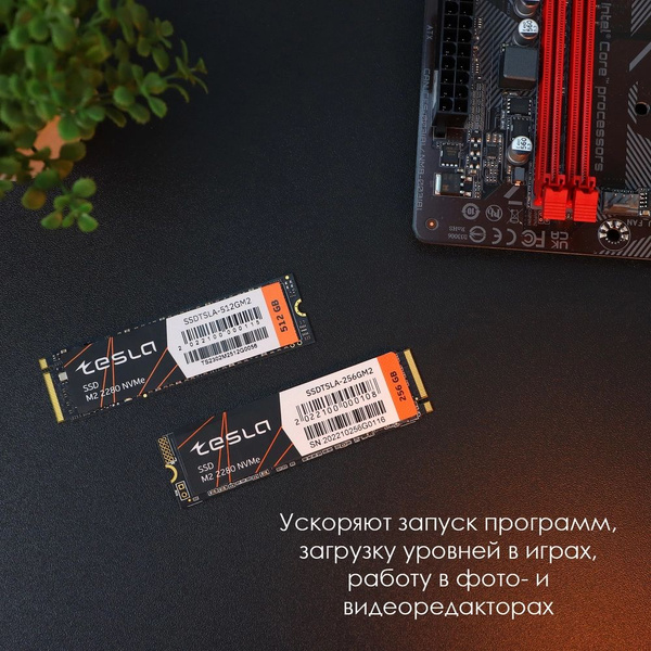 512 ГБ Внутренний SSD-диск TESLA TLC 3D NAND 2280 SSDTSLA-256GM2 ...