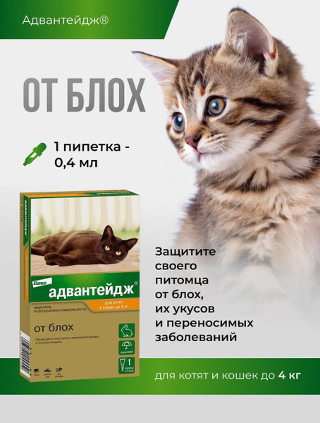 Адвантейдж для кошек до 4 кг. Уп х 1 пип купить на OZON по низкой цене ...