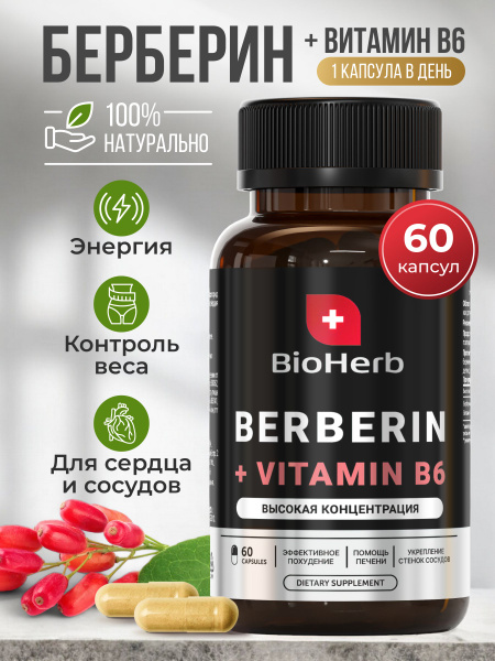 BioHerb БАД Берберин + витамин В6 для похудения 500мг, 60 капсул купить на OZON по низкой цене в ...
