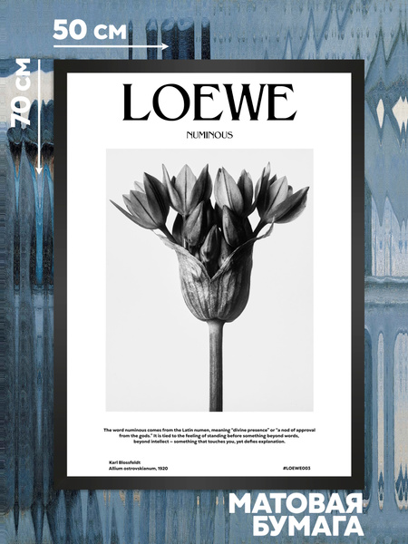 Постер Casa Paterna Абстракция, Арт LOEWE#3, 70 50 купить c доставкой на OZON по низкой цене ...