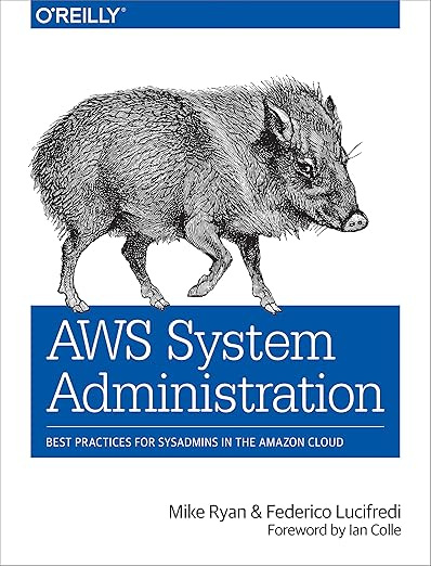 AWS System Administration: Best Practices for Sysadmins in the Amazon Cloud купить на OZON по ...