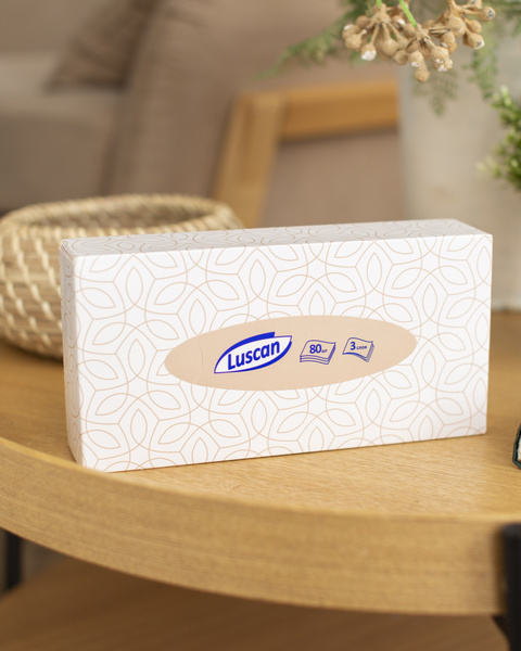 Салфетки бумажные косметические Luscan, в коробке, 3 слоя, 80 штук купить на OZON по низкой цене ...