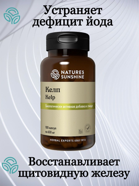 Келп НСП Kelp NSP - купить с доставкой по выгодным ценам в интернет ...