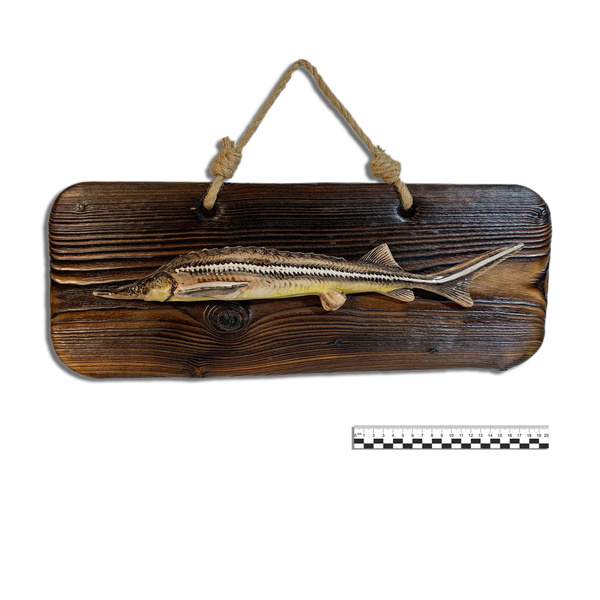 Украшение подвесное интерьерное Настенная статуэтка осетра исп 7 купить по доступным ценам в