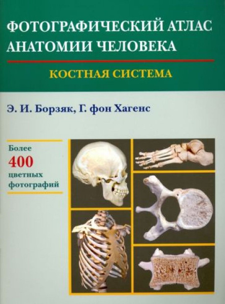 Фотографический атлас анатомии человека. Костная система - купить с ...