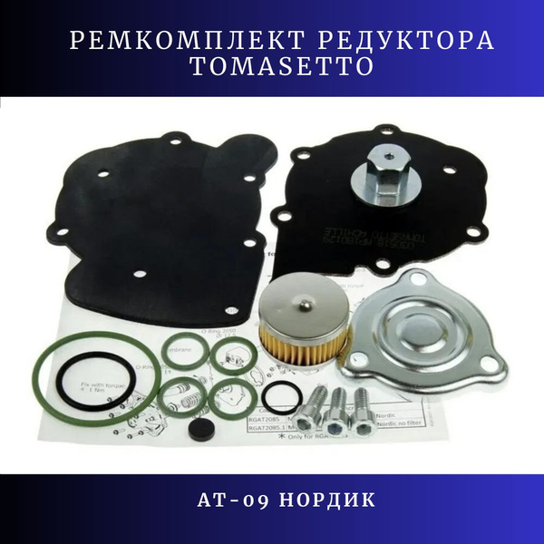 Ремкомплект редуктора Tomasetto AT-09 Нордик - купить с доставкой по ...