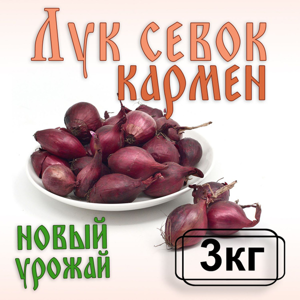 Луковицы Лук севок Лук севок купить по выгодной цене в интернет ...