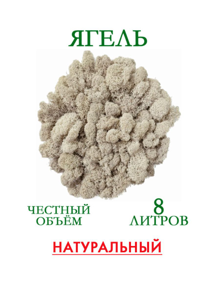 Мох ягель для улиток, террариумов. - купить с доставкой по выгодным ...