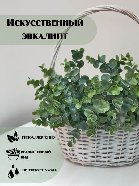 Декоративные растения Эвкалипт 1 шт 1 веточка в упаковке