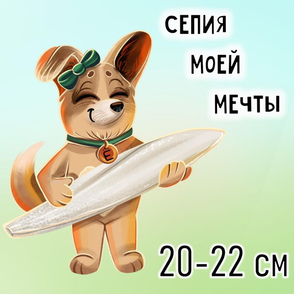20-22 см - Минеральный камень - Панцирь каракатицы (Сепия для улиток ...