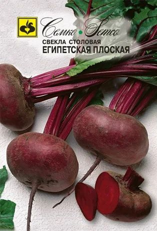 Семко свеклы столовой Египетская Плоская (Франция) - купить по выгодным ...