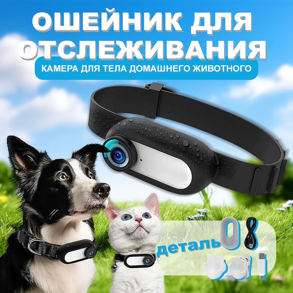 Экшн-камера для животных, HD 1080P - купить с доставкой по выгодным ...