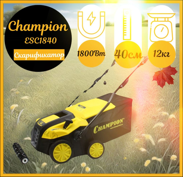 Скарификатор электрический Champion ESC1840, - купить по выгодной цене ...