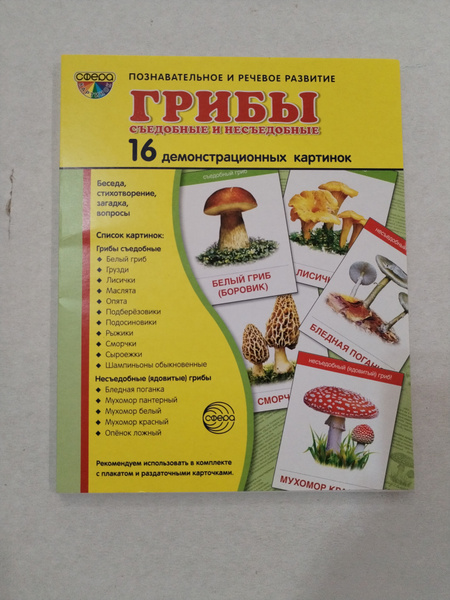 Грибы-сьедобные и несьедобные. 16 демонстрационных картинок с описанием ...