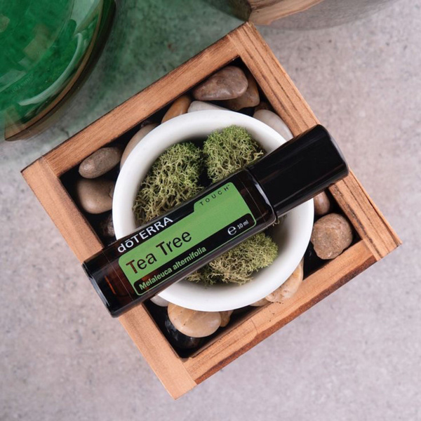 doTERRA Чайное дерево Touch Tea Tree Touch Эфирное масло 10 мл (751100930)