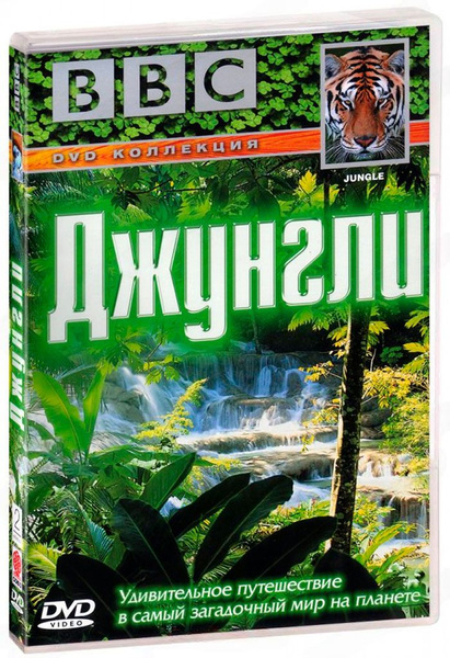 BBC: Джунгли (DVD) купить на OZON по низкой цене (1716411724)
