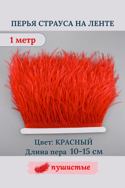 Перья страуса на ленте 1 м купить на OZON по низкой цене (1715275494)