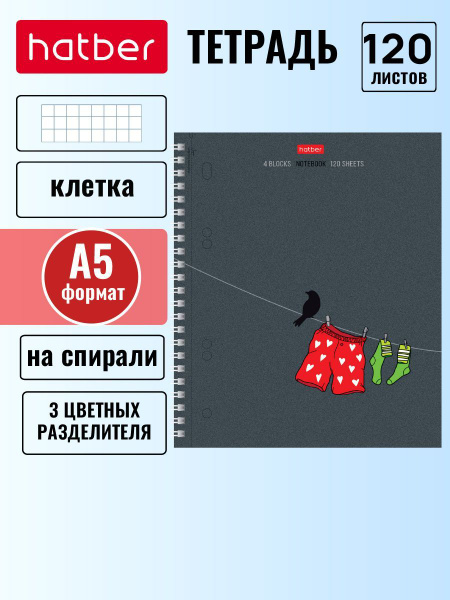 Тетрадь Hatber 120 листов А5 на спирали 3 цв. разделителя, многоуровневая перфорация, ламинация ...