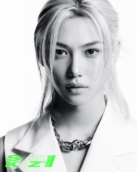 публикация DICON - VOLUME N 21 STRAY KIDS : SECRET KIDZ FELIX B Type купить на OZON по низкой ...