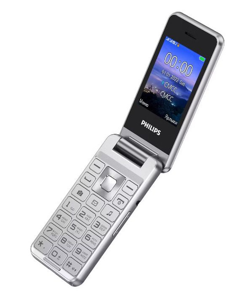 Philips Мобильный телефон Xenium E2601, серебристый купить на OZON по ...