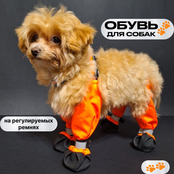 Обувь для собак на подтяжках для мелких и крупных пород купить на OZON ...