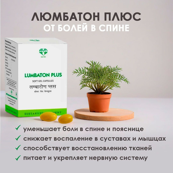 Люмбатон Плюс/ Lumbaton Plus AVN 60 кап купить на OZON по низкой цене ...