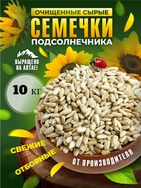 Семечки подсолнечника. Семечка с Алтая очищенная, сырая. Ядро ...