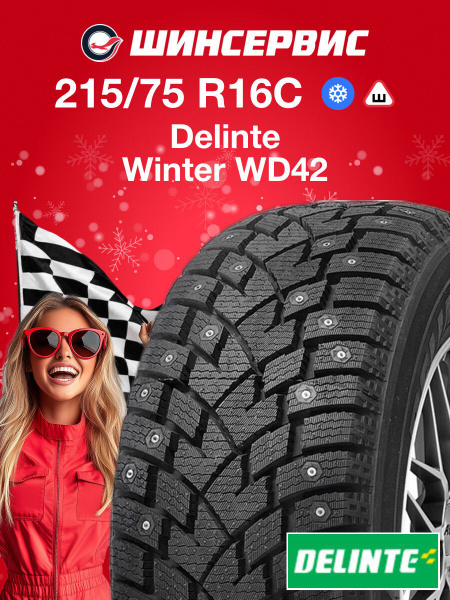 Delinte Winter WD42 Шины зимние 215/75 R16 116R Шипованные ...