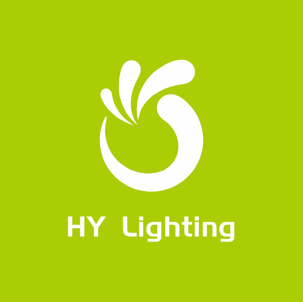 HY Lighting — купить товары HY Lighting в интернет-магазине OZON