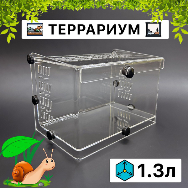 Террариум с крышкой для рептилий, пауков, улиток, богомолов, палочника ...