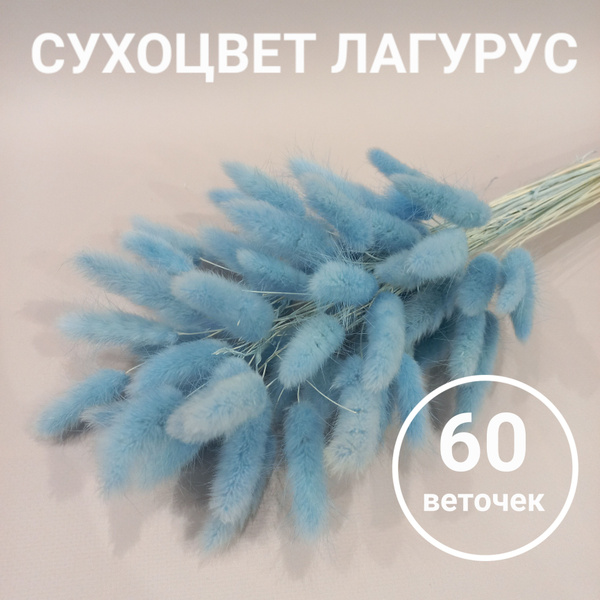 Букет из сухоцветов Лагурус, 55 см, 100 гр, 60 шт купить по выгодной ...