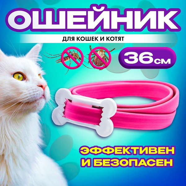 Ошейник от блох и клещей для кошек и котят, BioDoctor - купить с ...