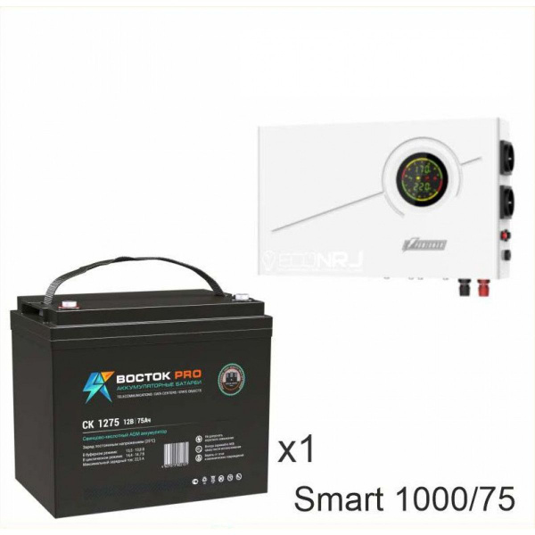 ИБП Линейно-интерактивный (Smart UPS) Powerman, 1000 В·А купить по ...