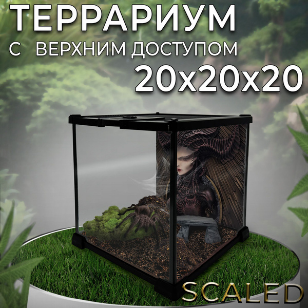 Характеристики Террариум с верхним доступом Scaled, 20x20x20 см ...