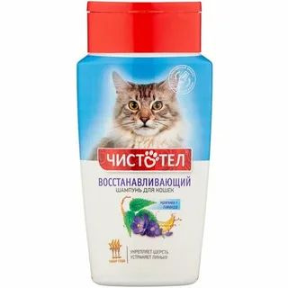 Чистотел Шампунь ВОССТАНАВЛИВАЮЩИЙ для КОШЕК, фл.220мл - купить с ...