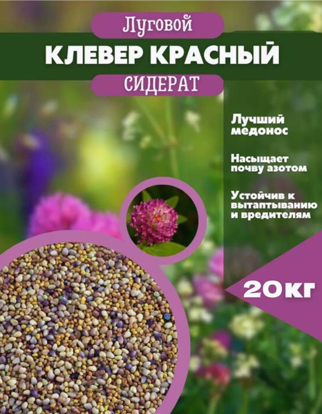 Вопросы и ответы о Газонная трава семена Клевер Луговой, 20кг Зеленый ...