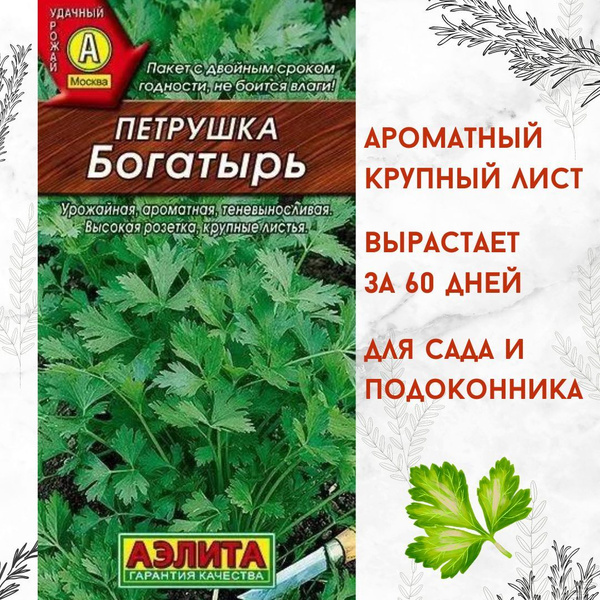 Петрушка Аэлита Лук на зелень " Лучок на пучок"_1 - купить по выгодным ...