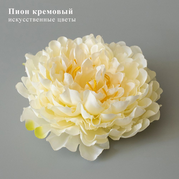 Купить Пион кремовый головка д.19см (без стебля) / искусственные цветы ...