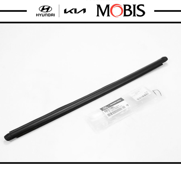 Молдинг стекла двери автомобиля задний левый для Hyundai Getz 2002-2011 ...