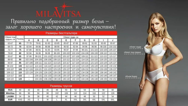 Трусы слипы Milavitsa Basic, 1 шт купить на OZON по низкой цене (357554598)