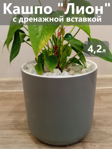 Live-in-green Горшок для цветов, 17 см х 19 см х 19 см, 4 л, 1 шт ...