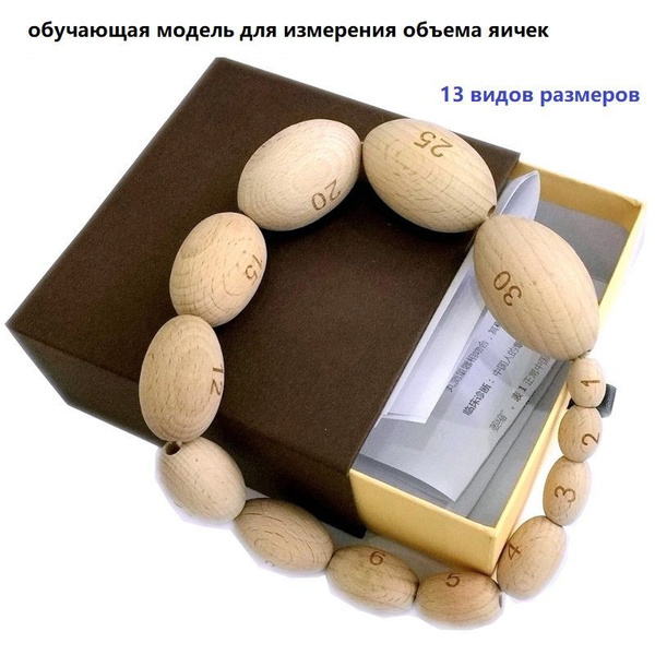 учебная модель для измерения объема яичек 13 видов и размеров купить на ...