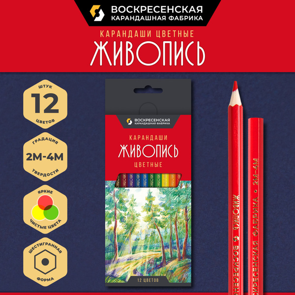 Цветные карандаши 12 цветов ВКФ JIV-CP-1012 Живопись купить на OZON по низкой цене (233046871)