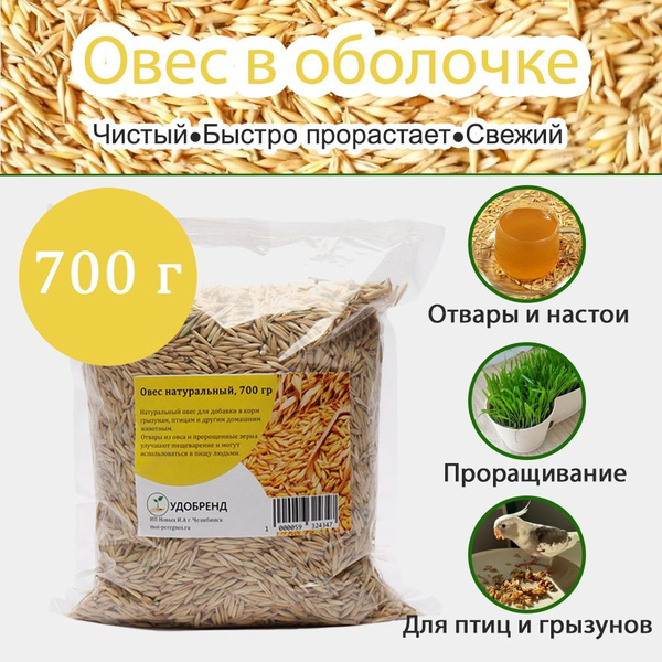 Овес для проращивания, заваривания и настоя, неочищенный - 700гр купить ...